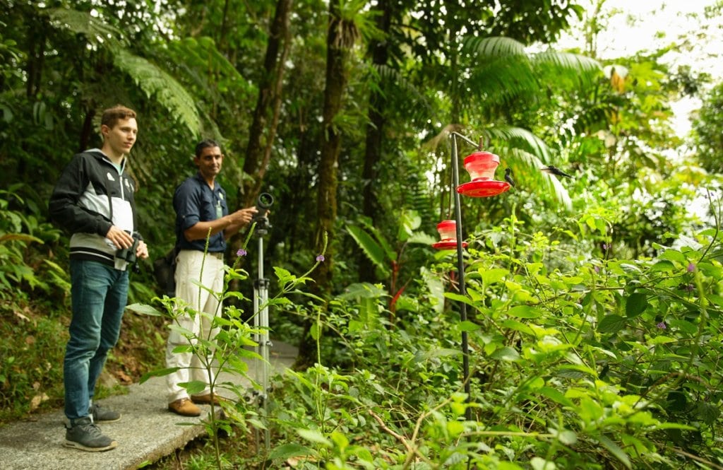 Tour 3 in 1: Aerial Tram + Rainforest Nature walk + River Cruise ...