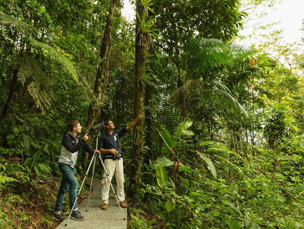 Tour 3 in 1: Aerial Tram + Rainforest Nature walk + River Cruise ...
