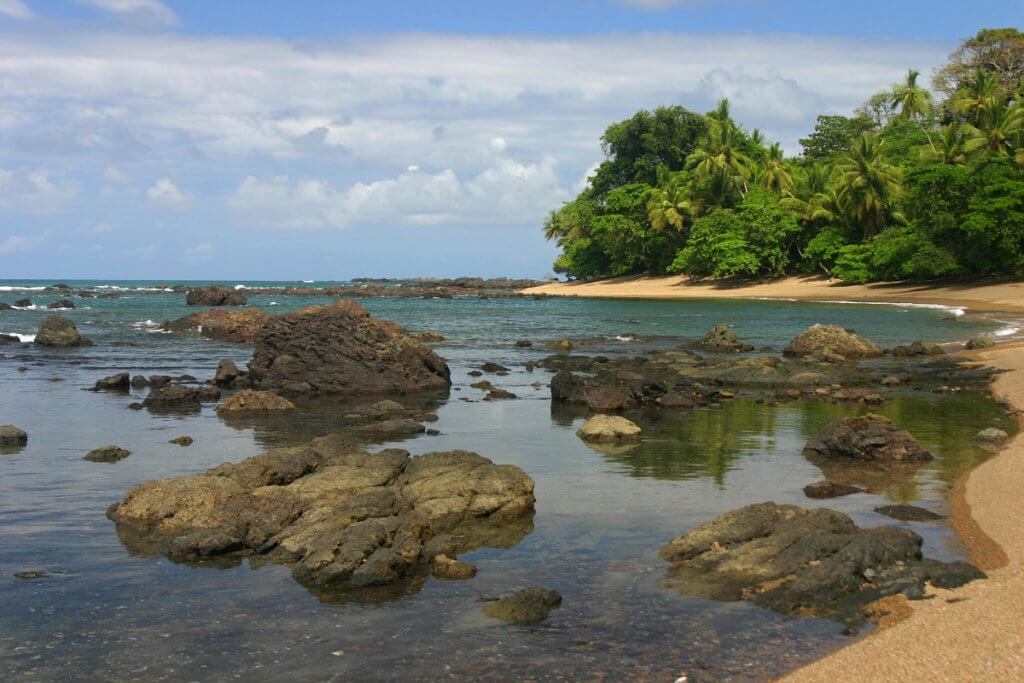Corcovado and Arenal Volcano Expedition 8D/7N - Greenway Nature Tours